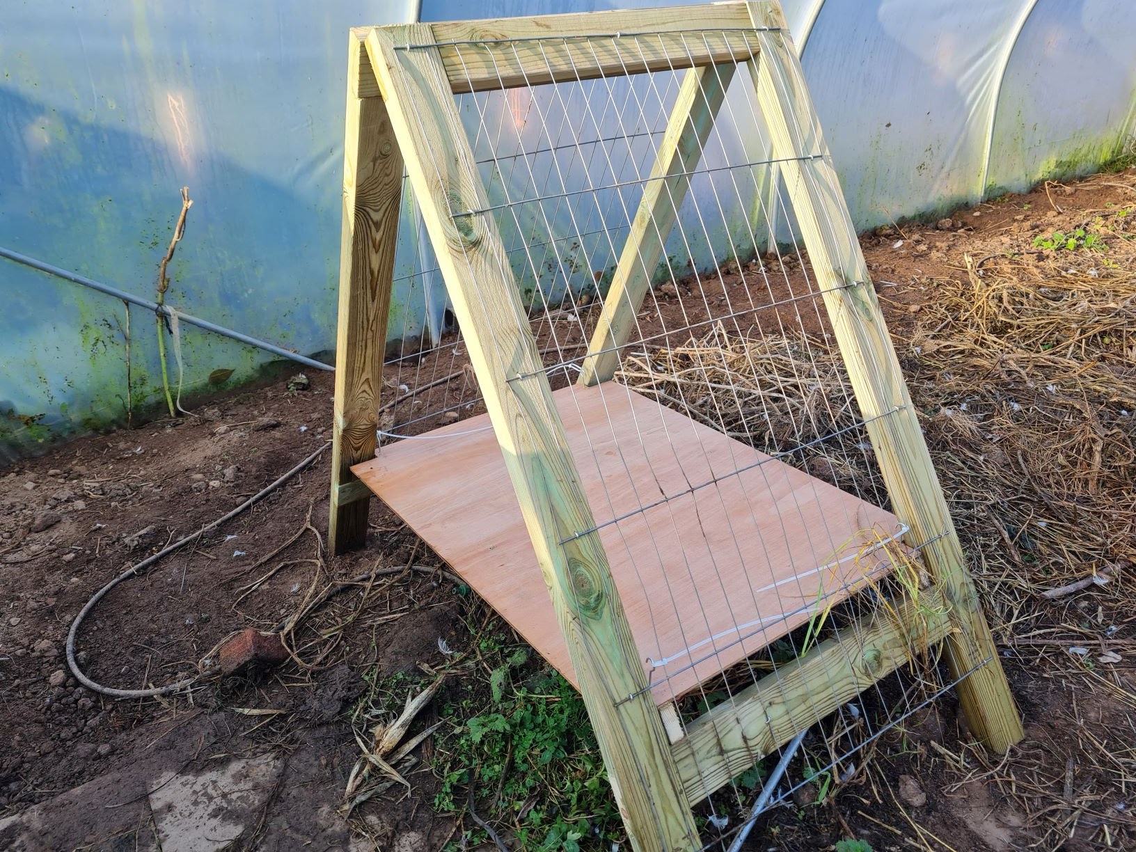 An English Homestead: Folding Duck House