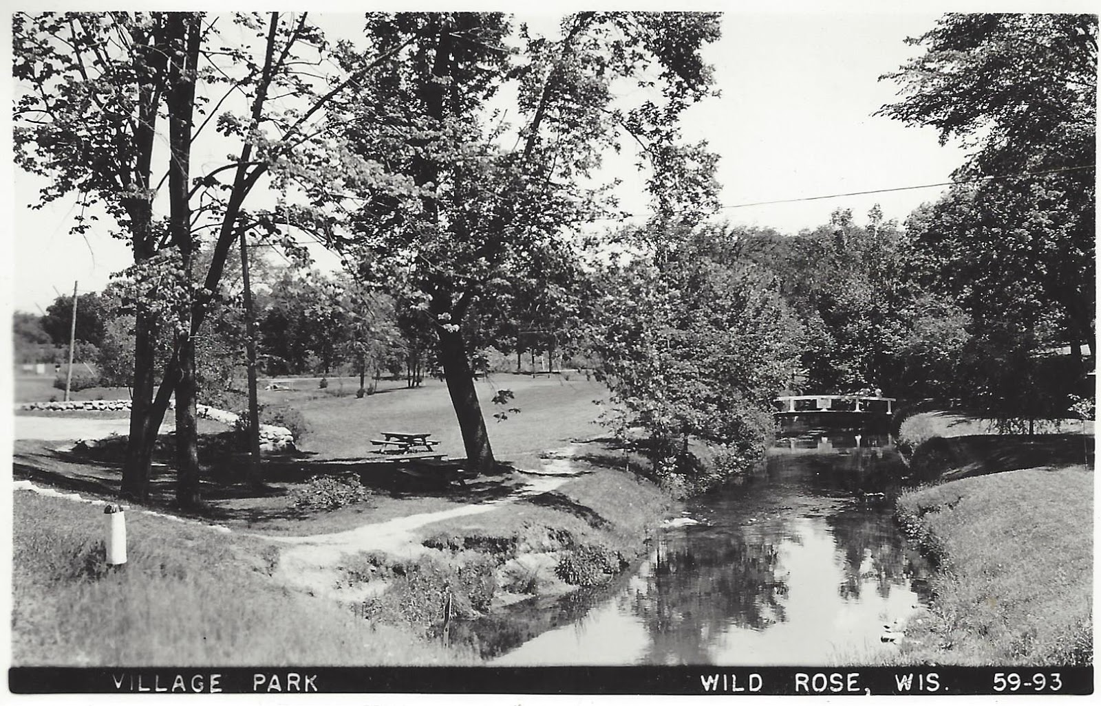 Pieces Of Wild Rose Wi Area Genealogy And My Own Wild Rose Park By The Hospital