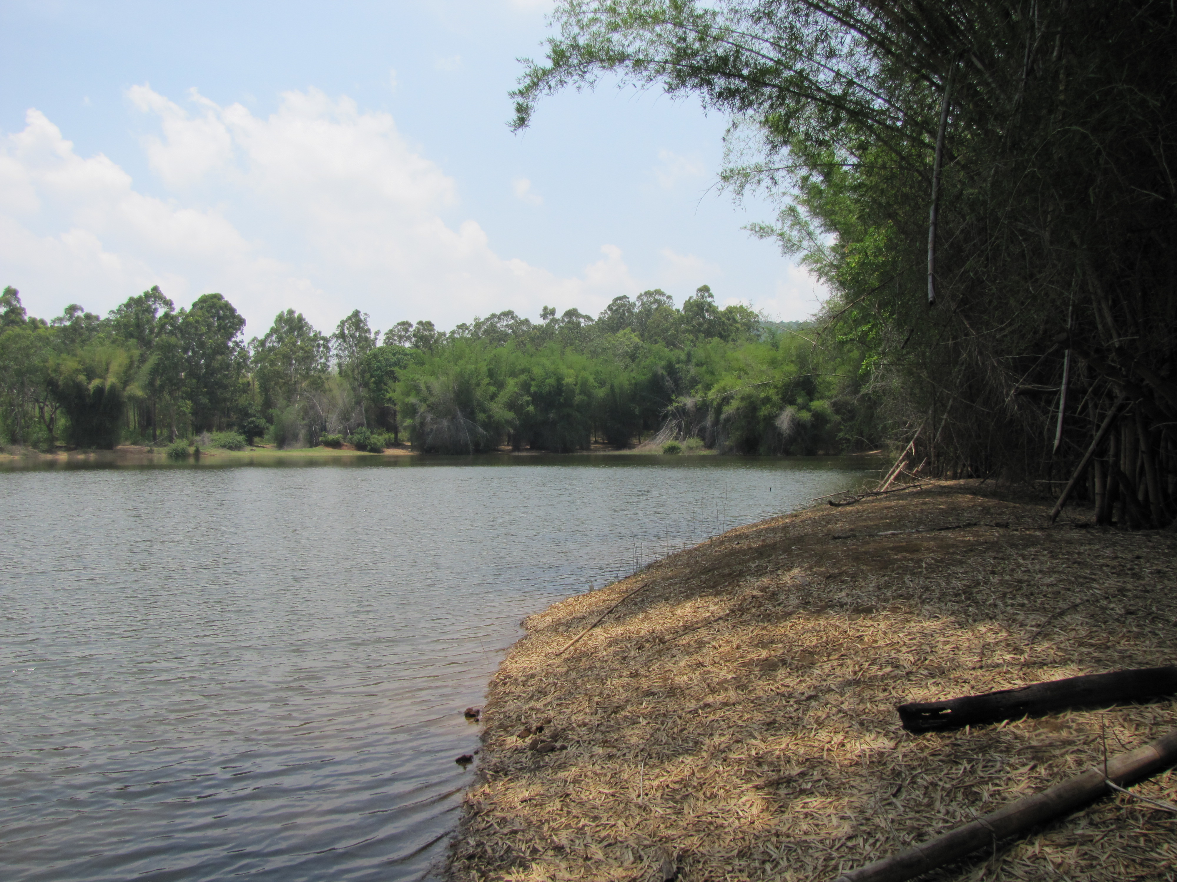 Panchapalli & Bettamugilalam: Hidden getaways from Bangalore