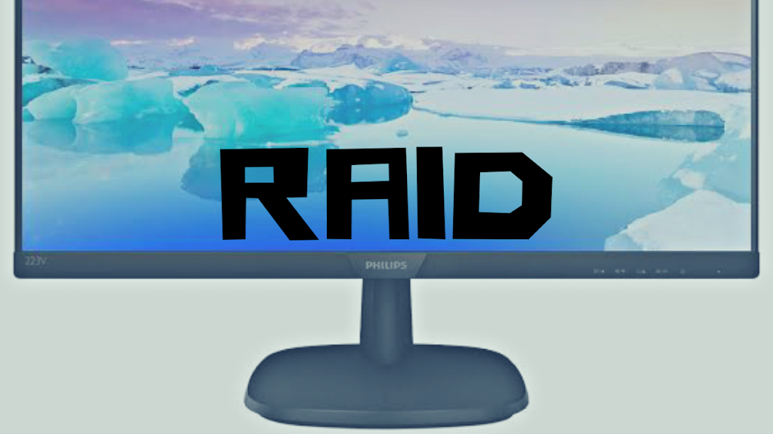 RAID Meaning raid-meaning