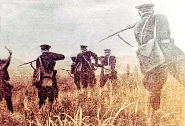 40 Gallons and a Mule: Imani Walker approved : “The Francophone POC of ...