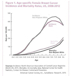 Breast Cancer - Open in Front: Current Facts and Figures 7/19/2016