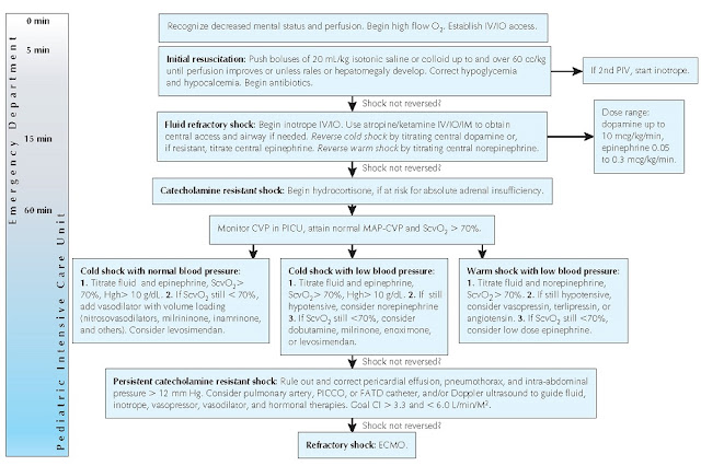 Shock - pediagenosis