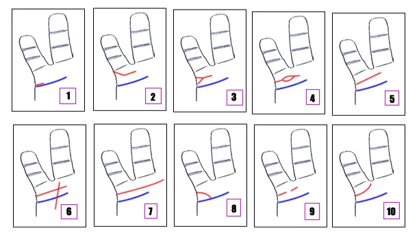 Interpretation Of 40 Types Of Marriage Lines With Images | The Line Of ...