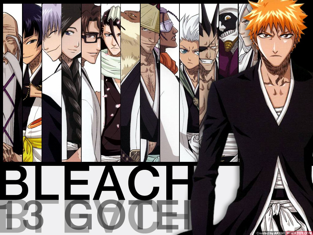 Bleach: Bleach 1° Temporada