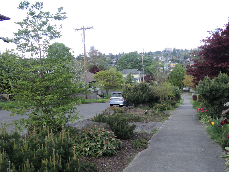 Walking Seattle Neighborhoods: Madison Valley (Madrona/Harrison Denny ...