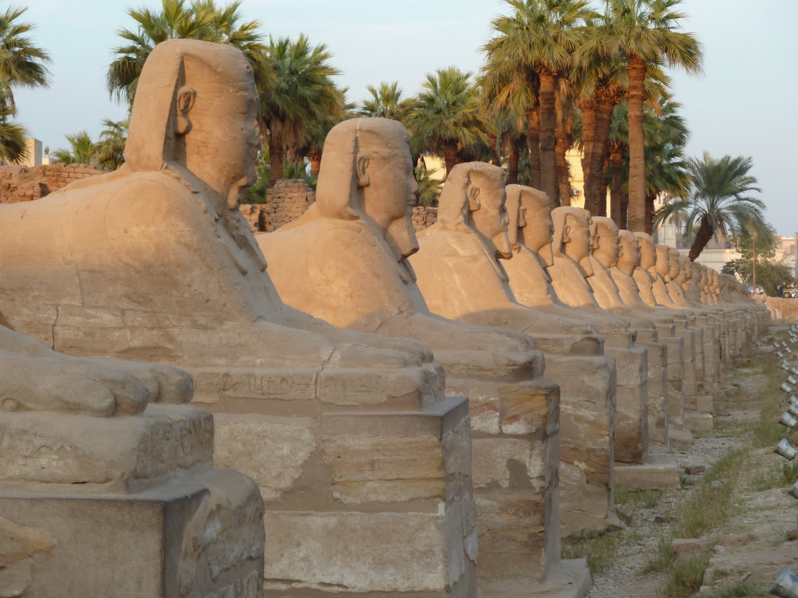 Lizard Feathers: Sphinx Avenue of the Gods