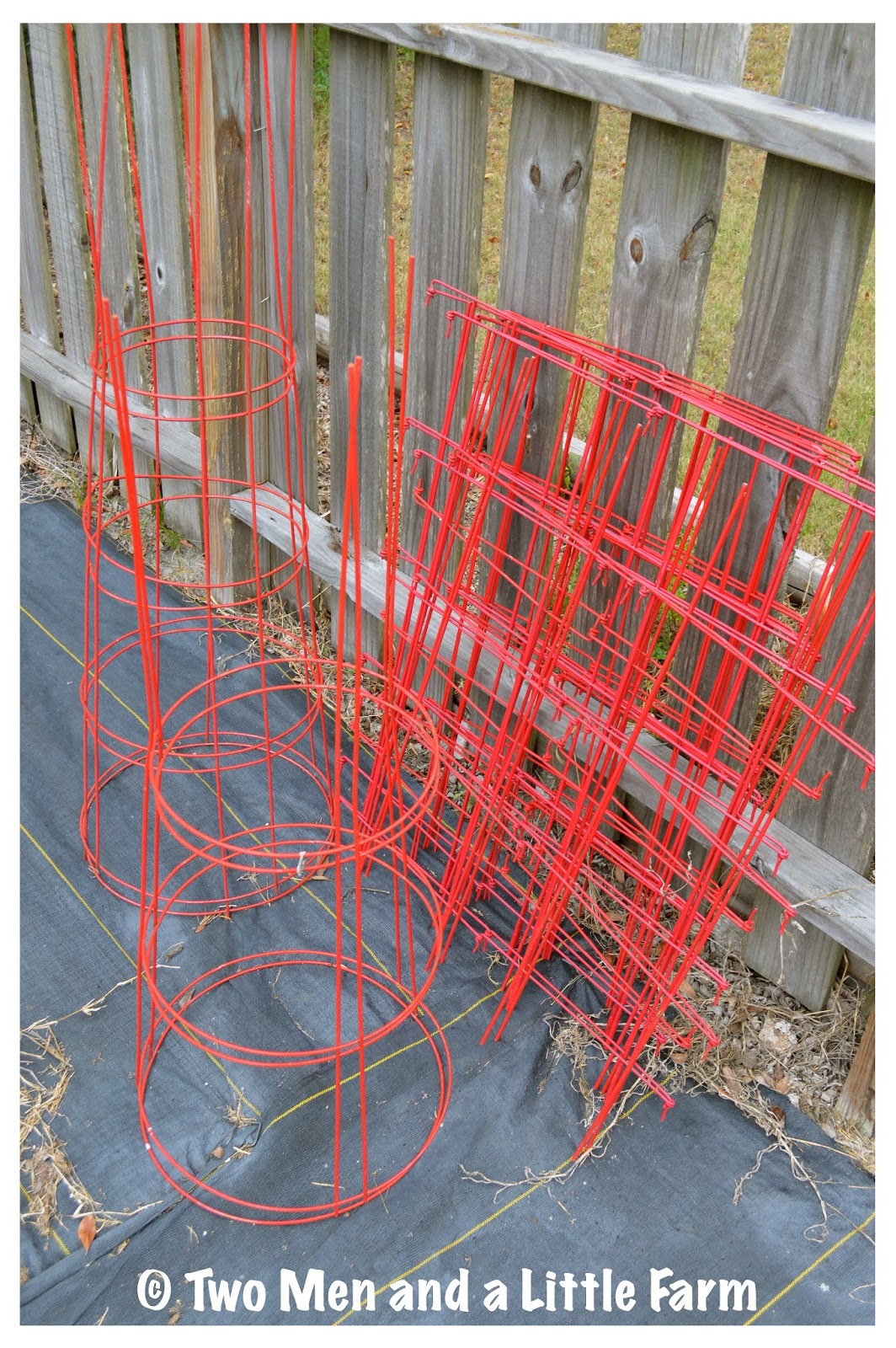 Two Men and a Little Farm: SAME OLD SAME OLD