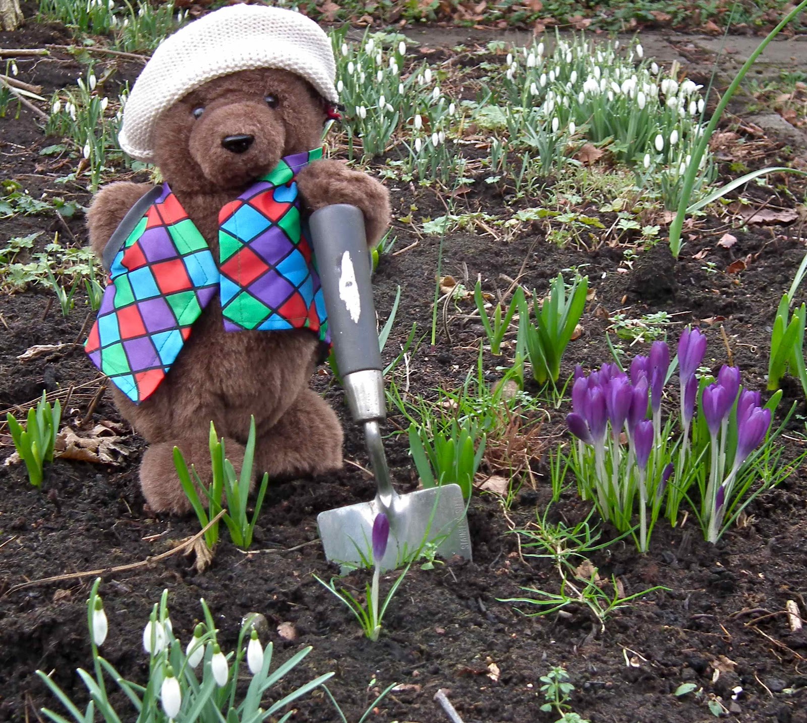 Keeping it Simple (KISBYTO): Spring is HERE!!!