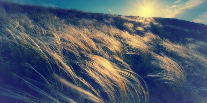 Speaking Of Things: Out of God's Love