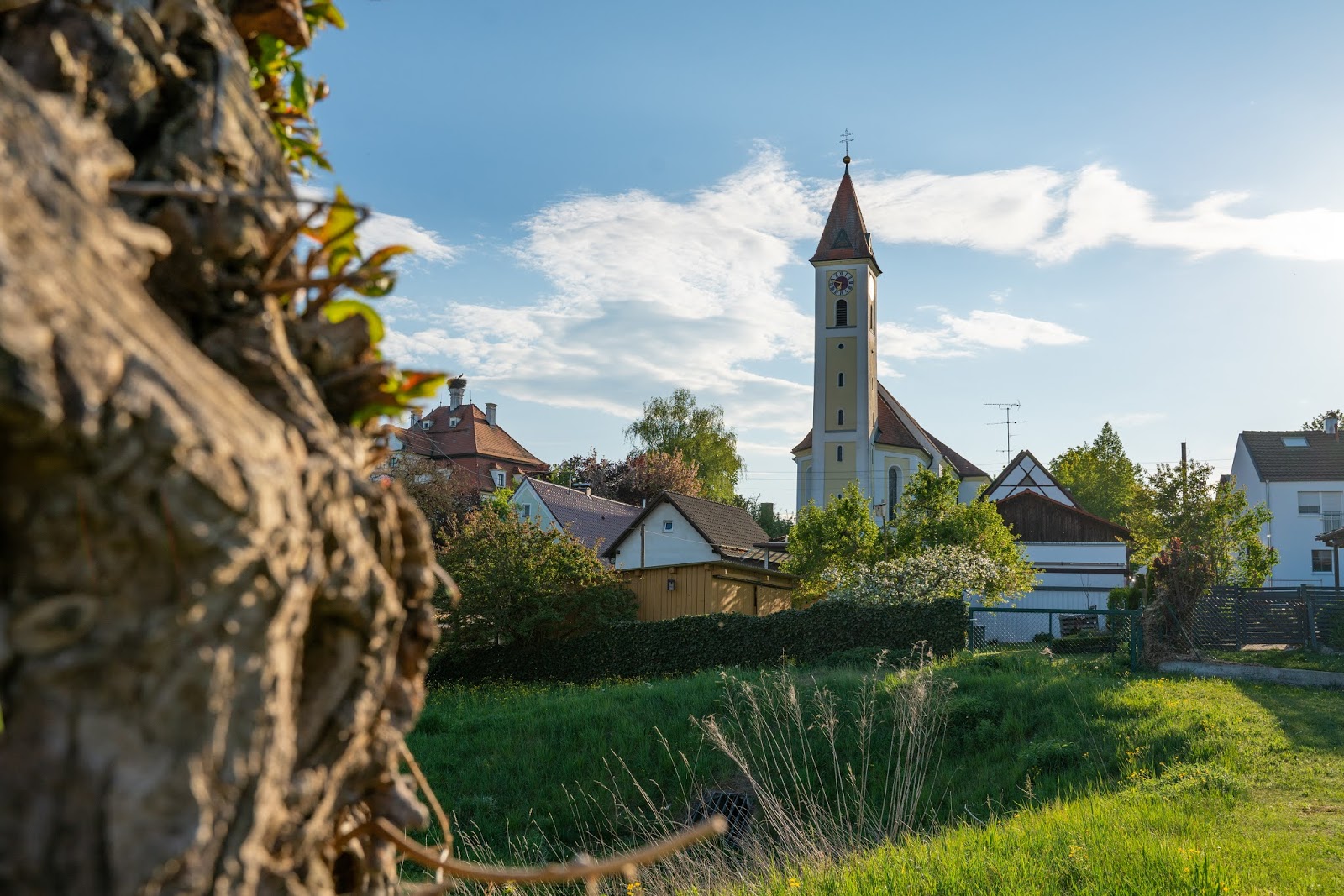 Premiumwanderweg DonAUwald | Etappe 2 von Offingen nach Gundelfingen