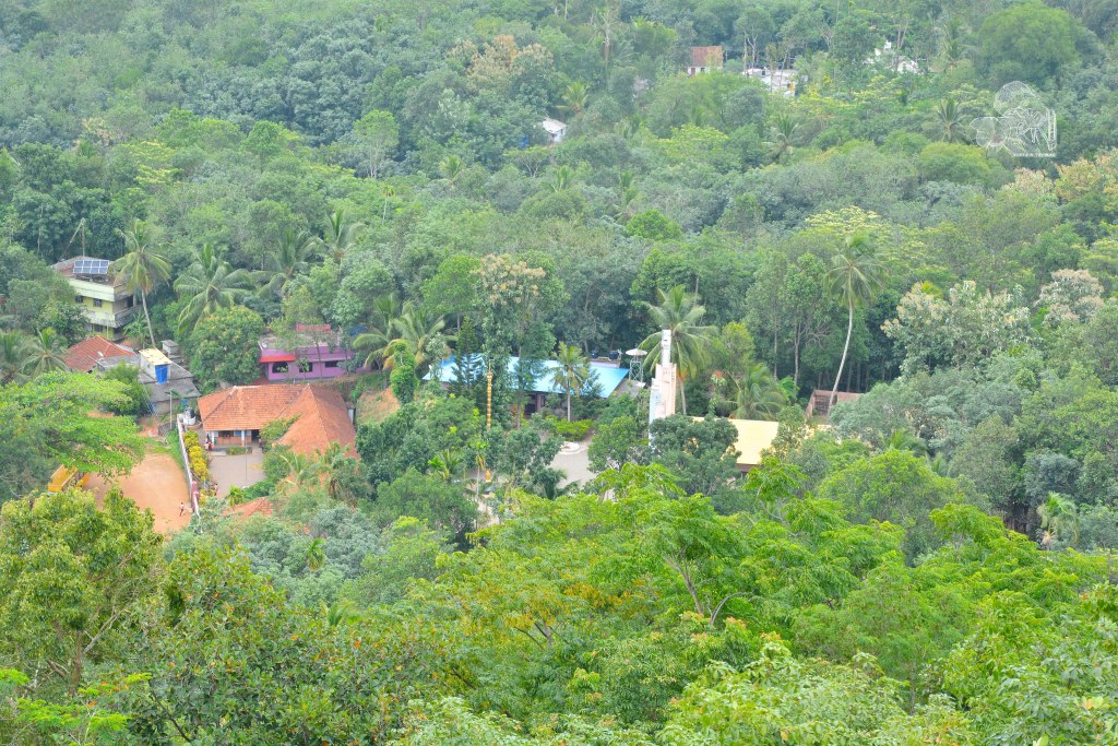 Tamilnadu Tourism: Holy Family Catholic Church, Arukani, Kanyakumari