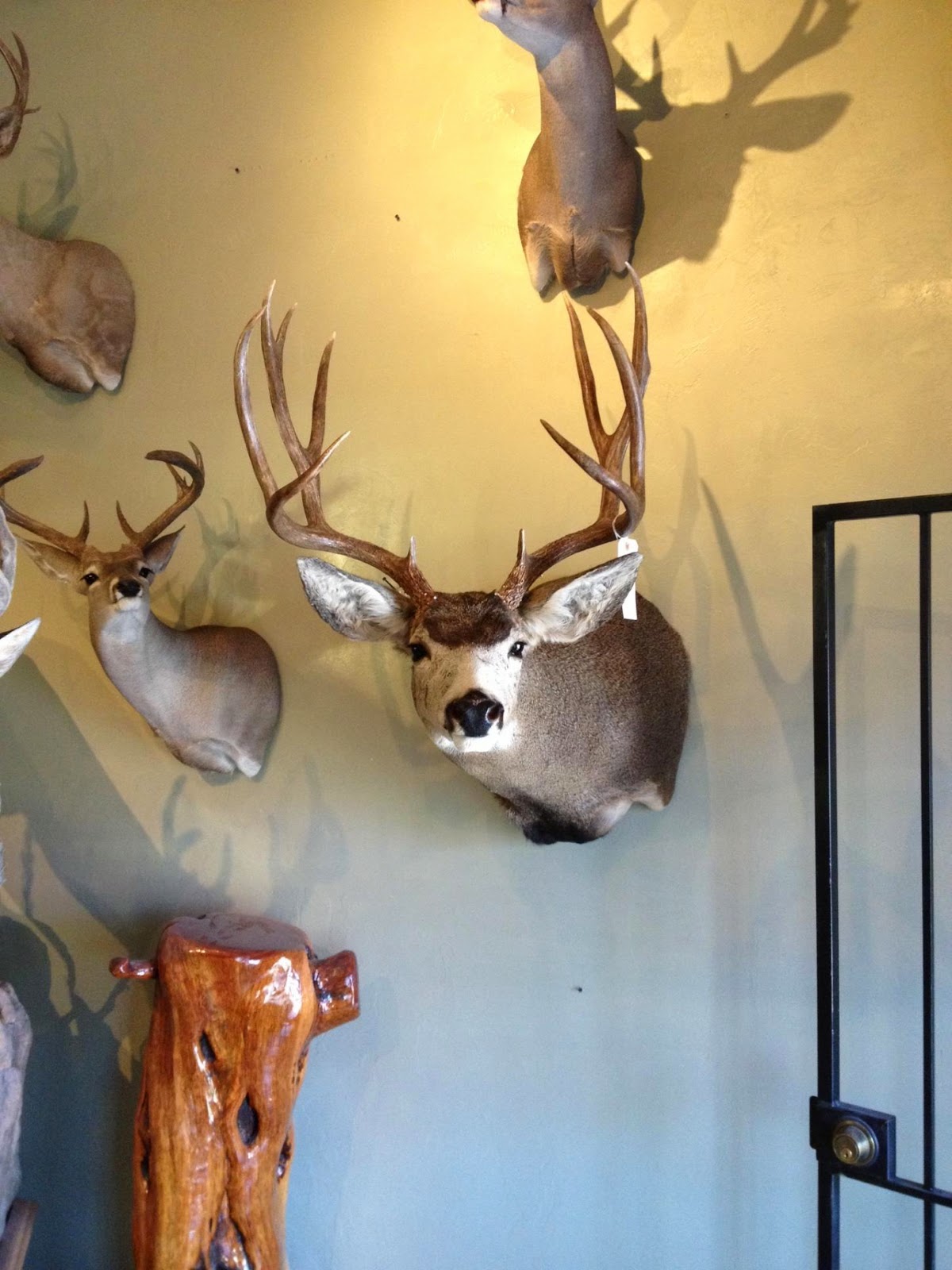Diamond Outfitters