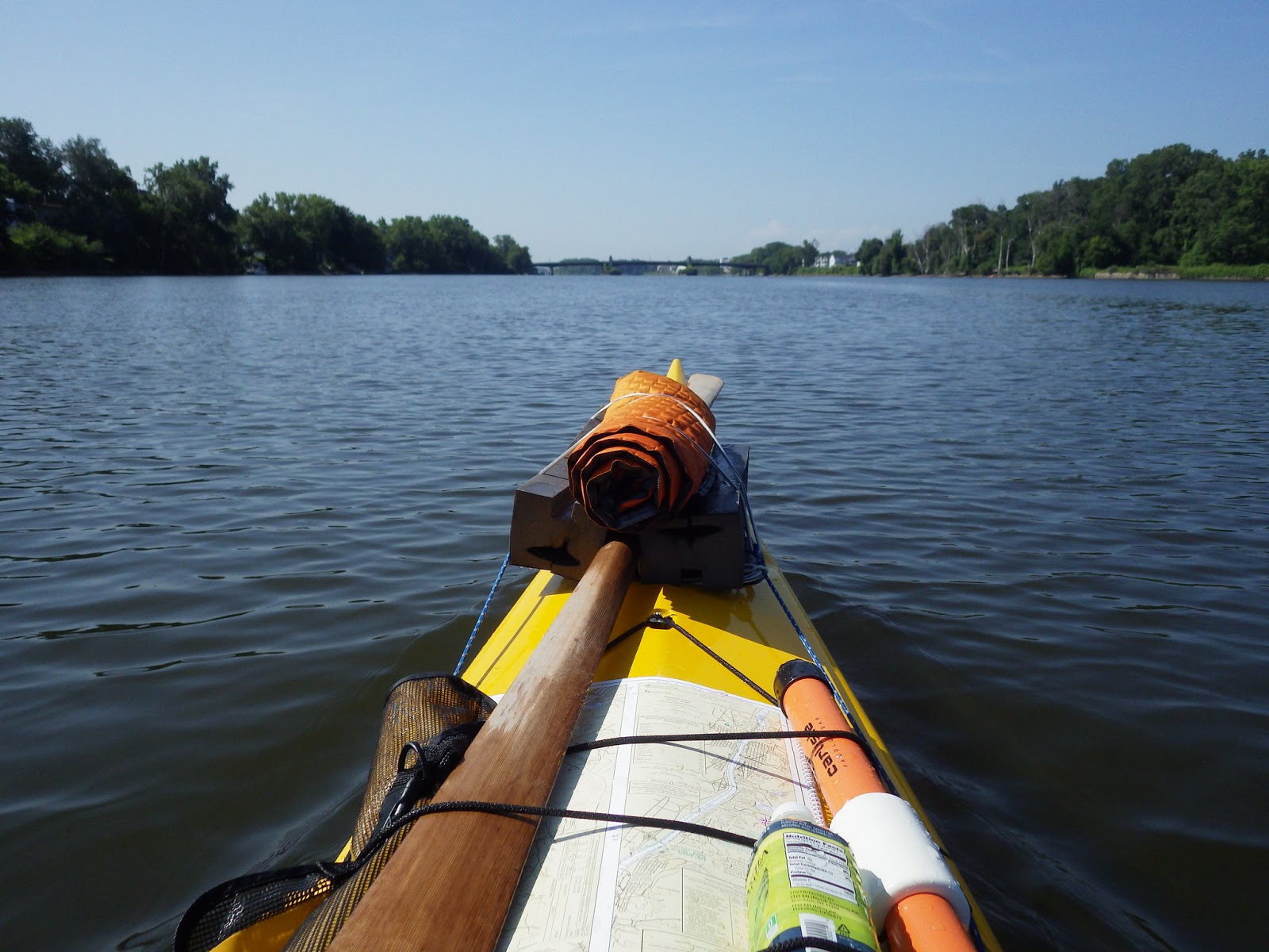 Frogma: River, by Elisha Cooper