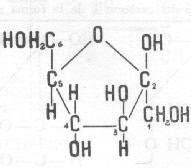 Mi biología: BIOELEMENTOS