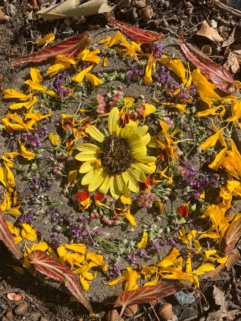 WashingtonGardener: DIY: Flower Mandala