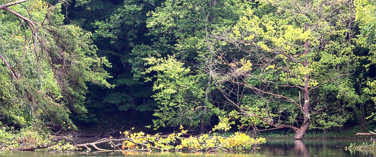 Gary's Outdoor Wanderings2: SEEING WHITE SPOTS