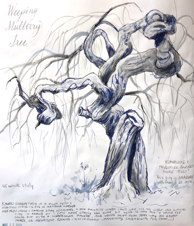 Hudson Valley Sketches - : Megasketch Monday -- Drawing Trees
