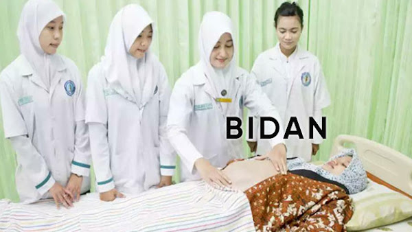 Pengertian Bidan Tugas dan Tanggung Jawabnya - Blog LokerPLK