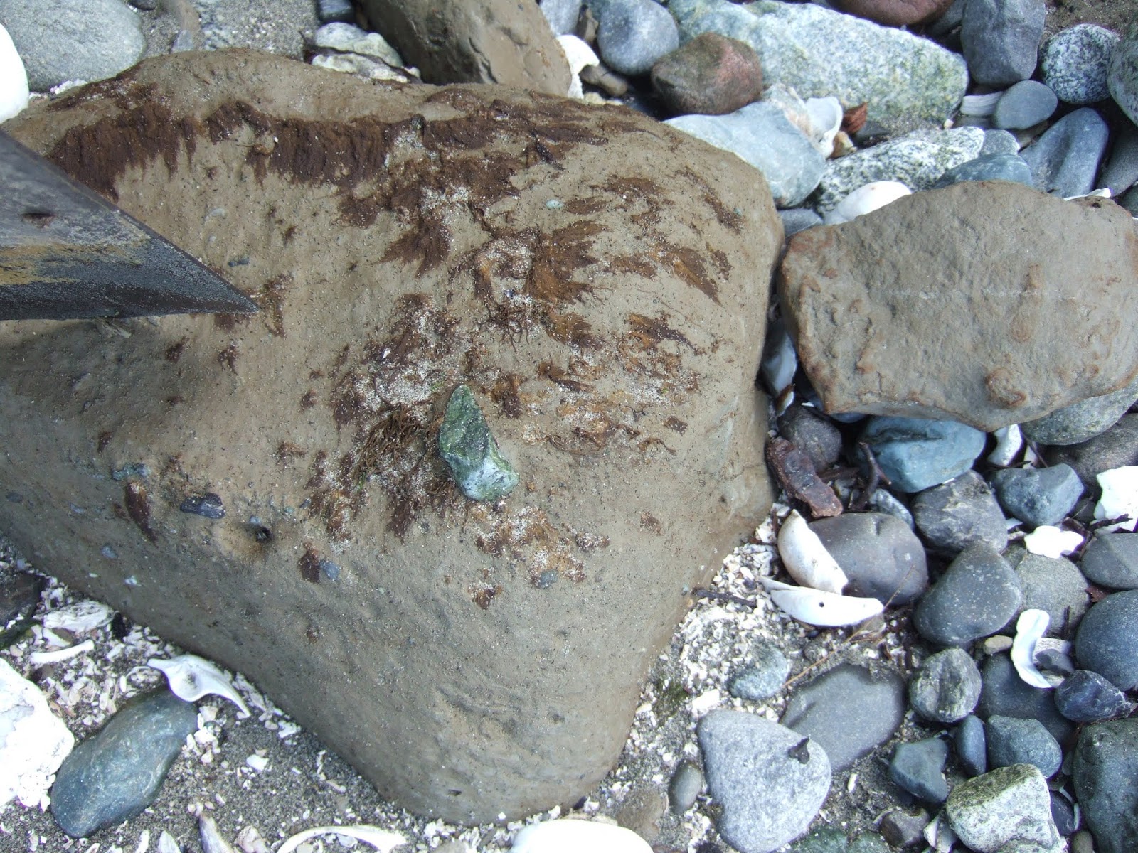 Reading the Washington Landscape: Tala Point Boulders and Either a ...