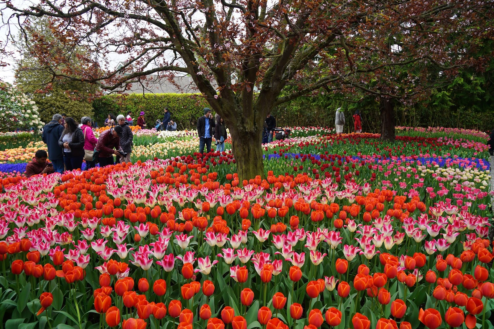 Roozengaarde - SesameTravel