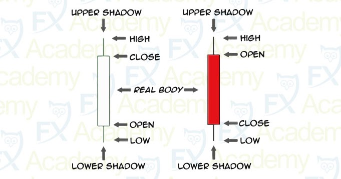 CANDLE ANATOMY AND that means ~ Forex Newsletter