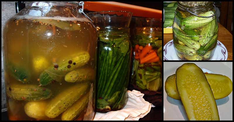 The Good Effects Of Fermented Pickles To Our Health | Dr Farrah MD