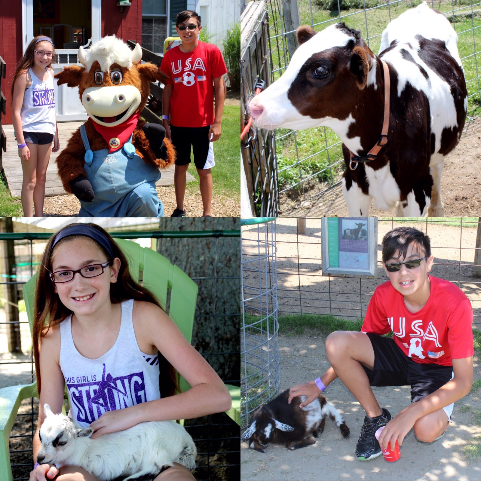Evan and Lauren's Cool Blog: 7/7/17: Davis Farmland Farm and Water Fun