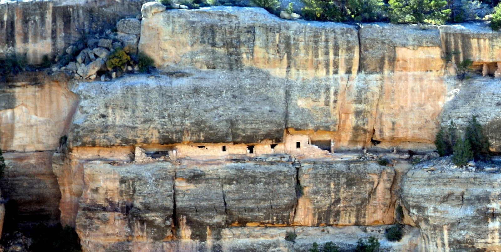 Mille Fiori Favoriti: Mesa Verde National Park