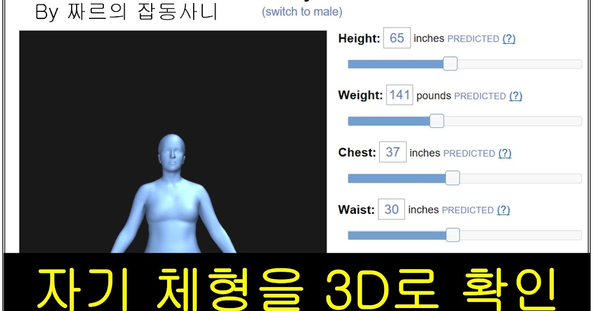 신체시각화 프로그램(bodyvisualizer)으로 자기체형을 3D로 알아보는 방법