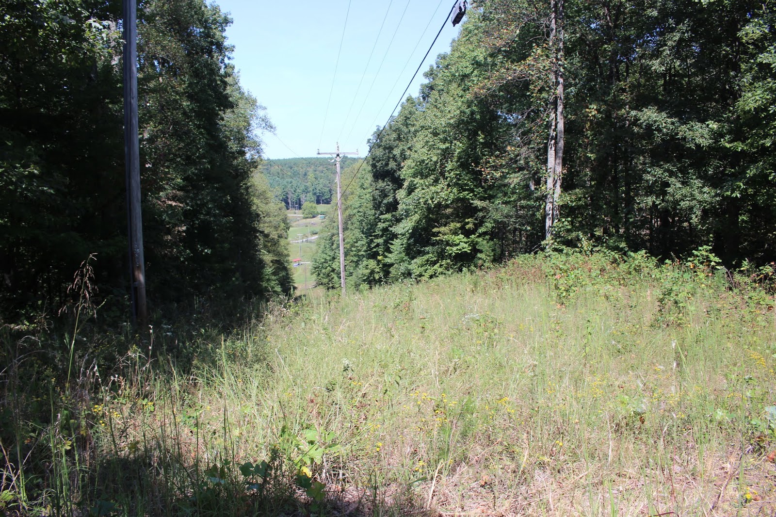 Cumberland Gal: Stringtown Lookout Tower