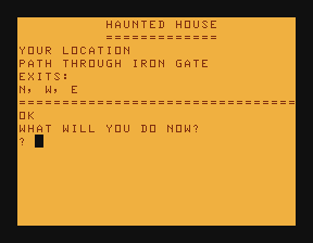 Type-in Mania: BASIC Programming on the TRS-80 MC-10: Usborne's ...