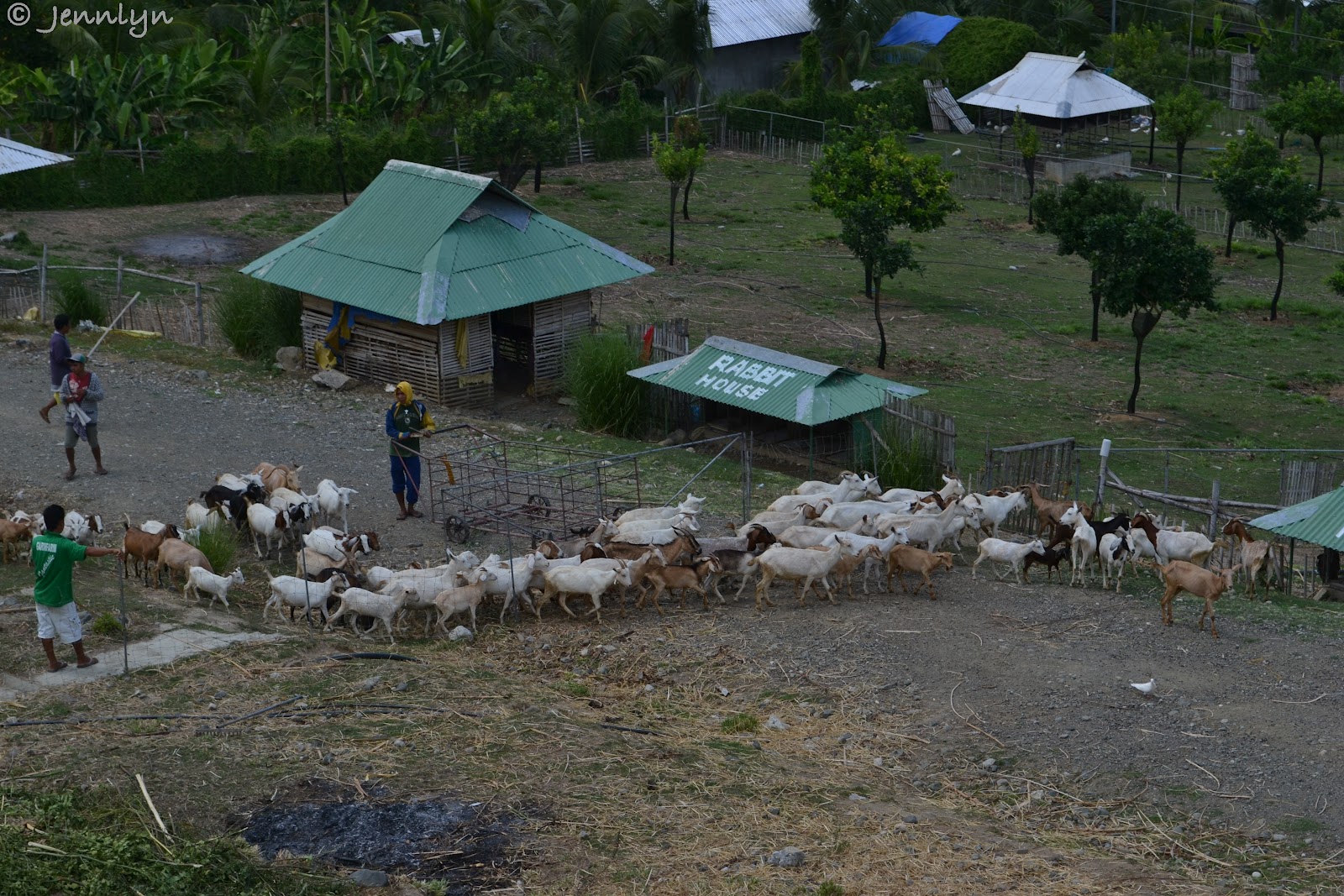 Destination Philippines: The Restaurant: Garin Farm, San Joaquin, iloilo