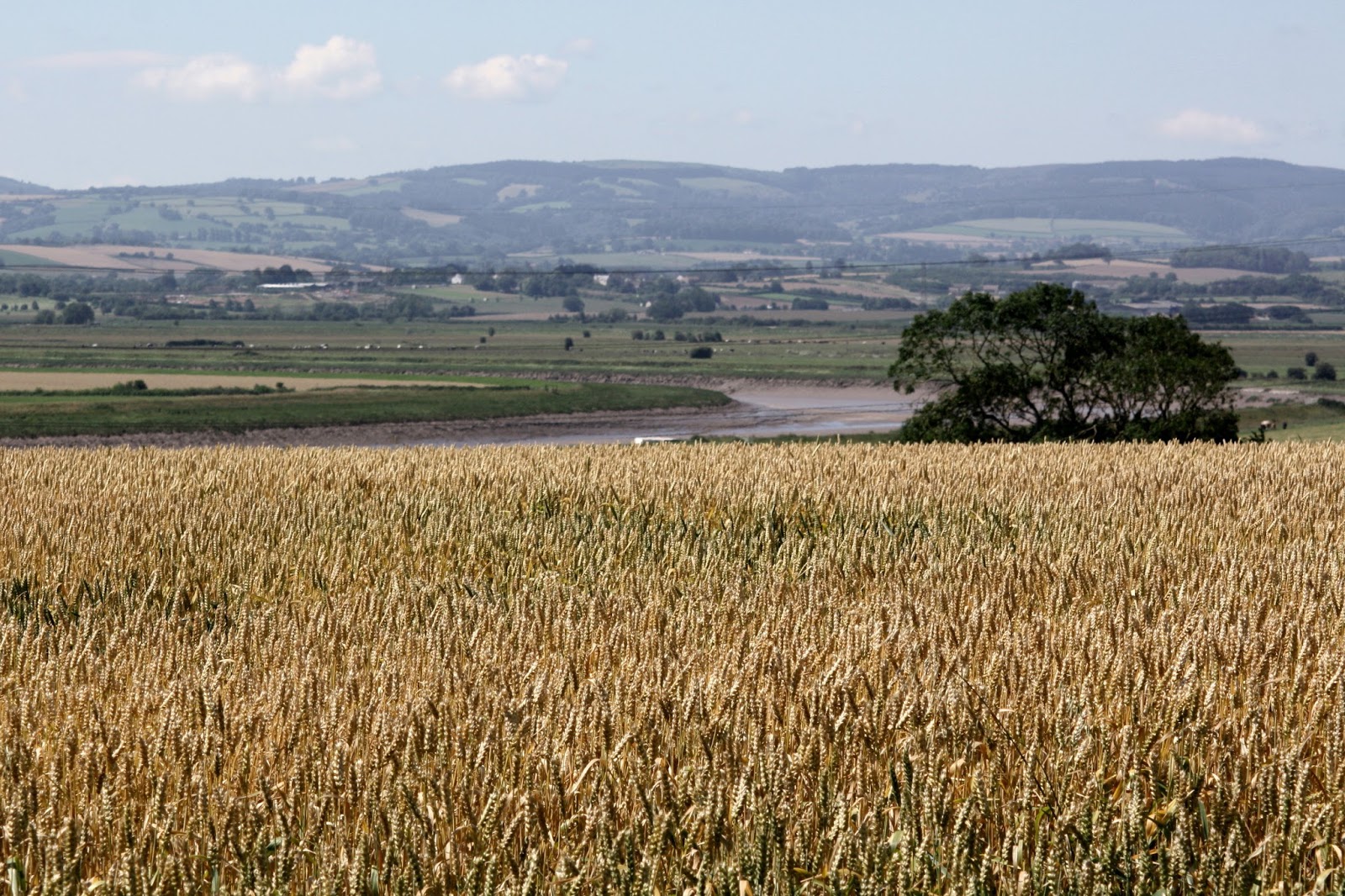 Views from Somerset: St.John the Baptist Church in the Somerset village ...
