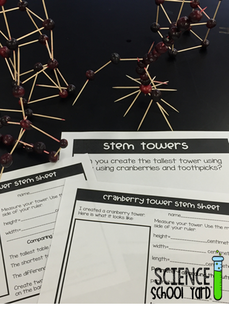Cranberry Ideas For Science and STEM Fall Lessons - The Science School Yard
