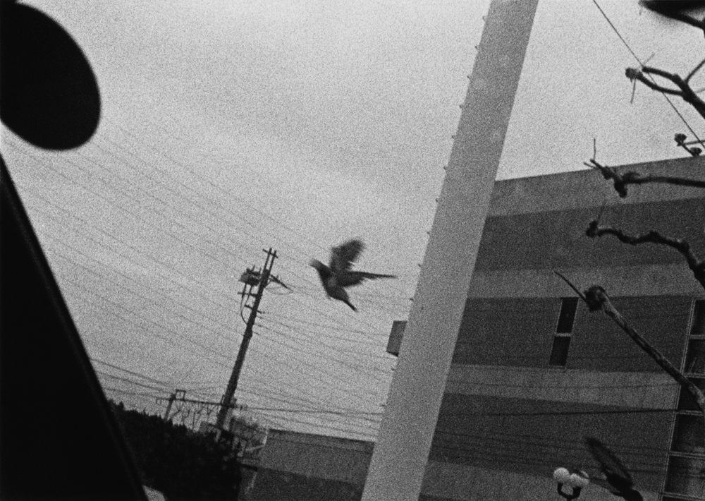 Memoriando Fotografía: ISSEI SUDA - THE WORK OF A LIFETIME 1968 - 2006