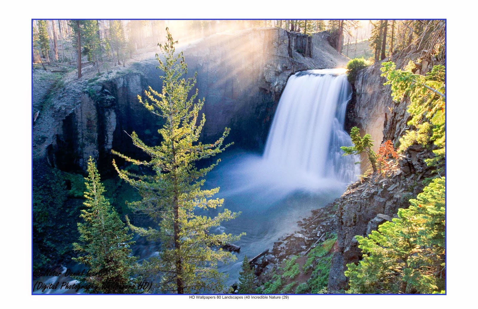 Cine e single si isi cauta iubit/iubita - Single Seeking Single ...