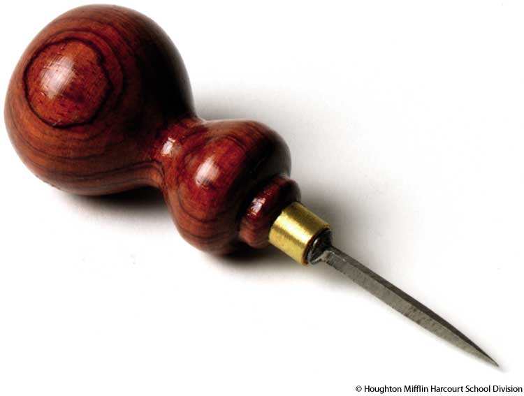 Butterflies of Singapore: Awls of Singapore : Part 1