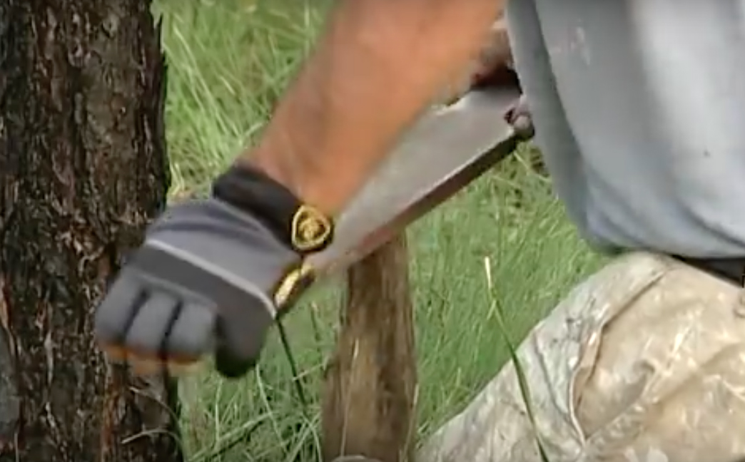 UF GRADUATE SCULPTURE SEMINAR : WORM GRUNTING, DEATH METAL, AND SHARKS