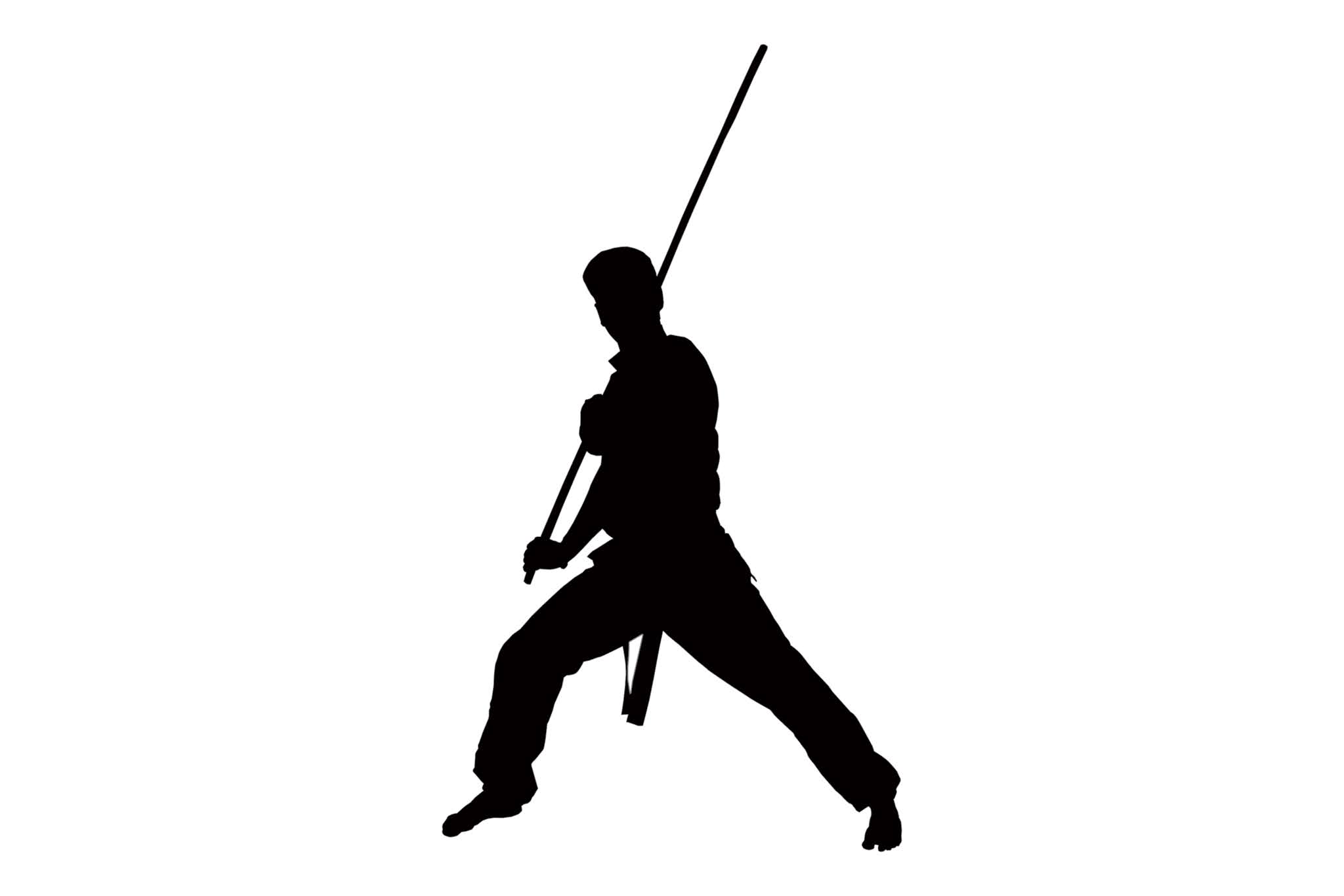 Panchabootha International Martial Arts Academy: Silambam Clipart , vector