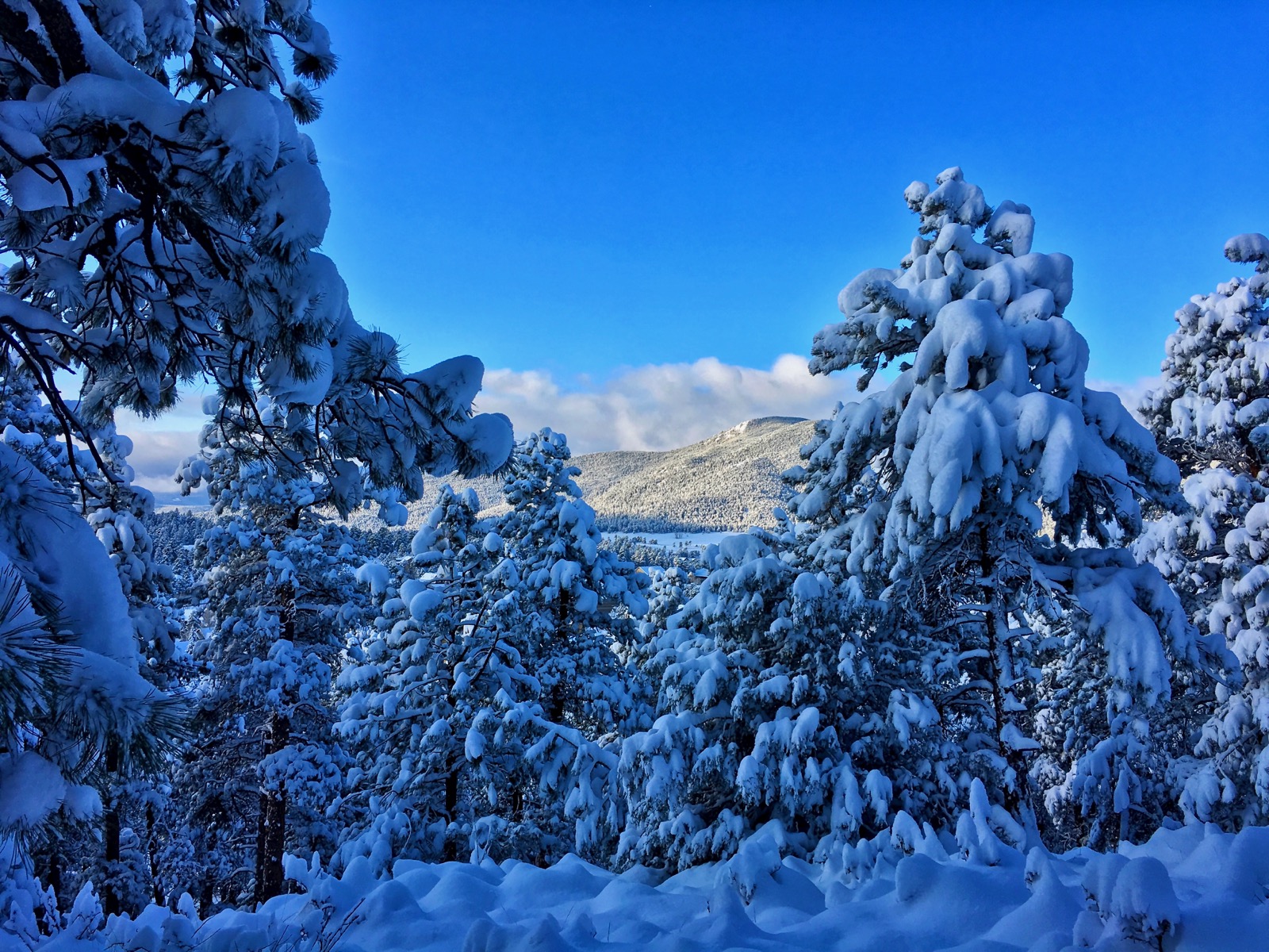 Impression Evergreen: Deep Snow - Beauty Beyond Comprehension