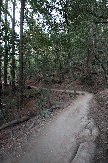 Wunderlich County Park