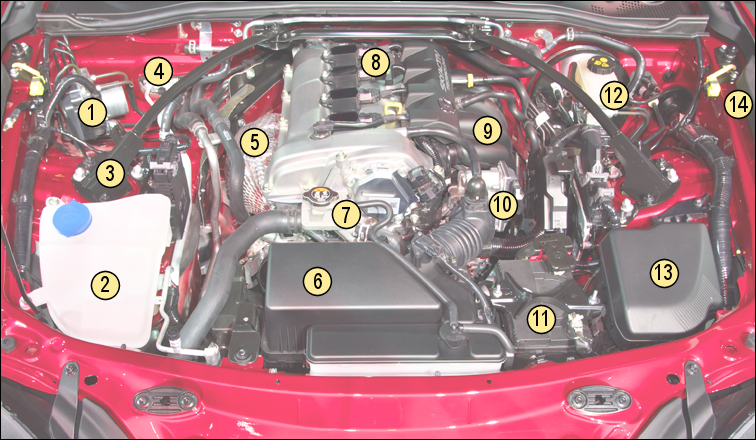 Roadster.Blog: MX-5 Skyactiv-G Engines