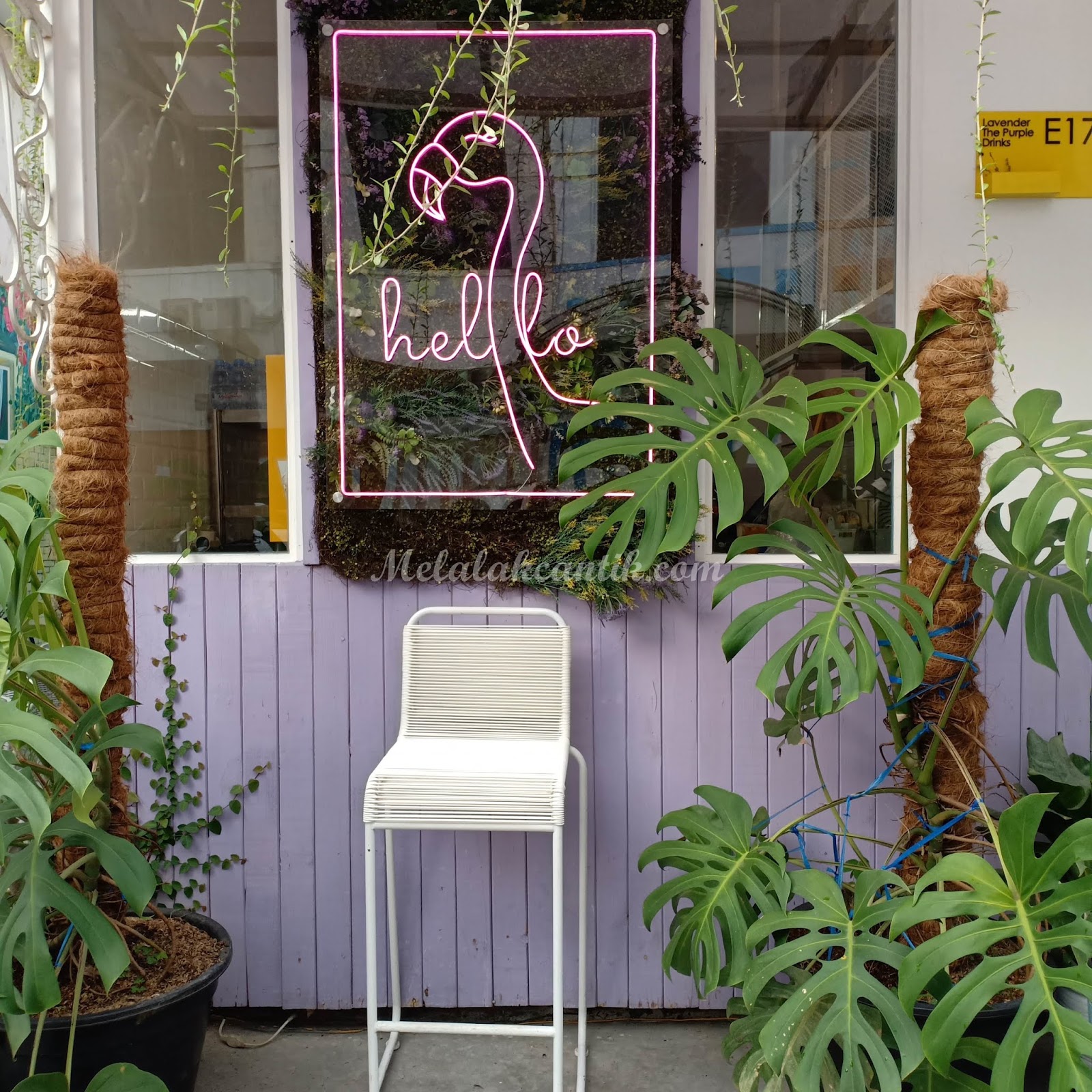 Lavender the Purple Medan, Cafe Menyajikan Olahan Bunga Lavender ...