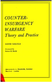 Necessary Facts: Counter-Insurgency