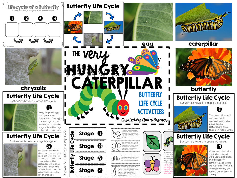 The Very Hungry Caterpillar | Mrs. Bremer's Class
