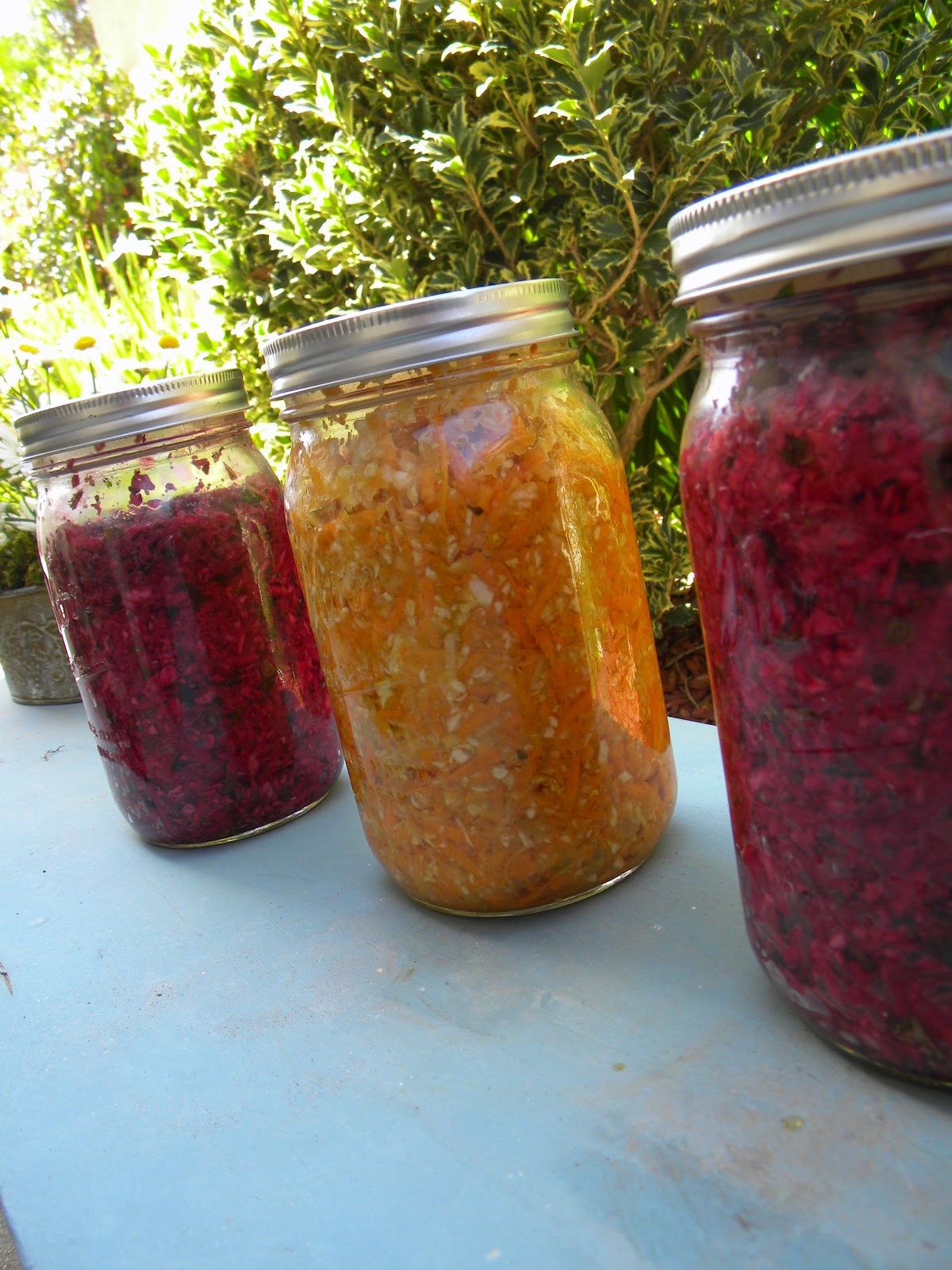 Wholesome Practices: Cultured Vegetables