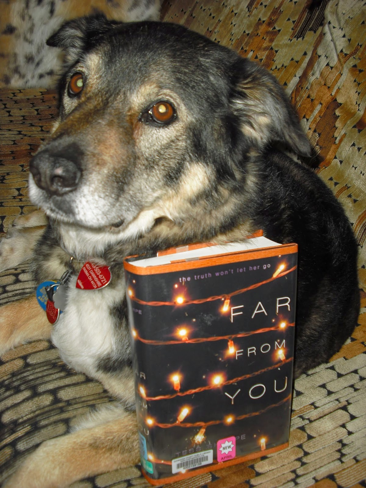 Grab A Book From Our Stack: "Far From You" by Tess Sharpe is a Real ...