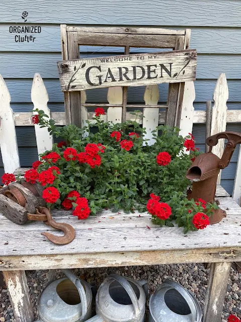 Junk Garden Before & After Photos (Planting Time & July 2nd ...