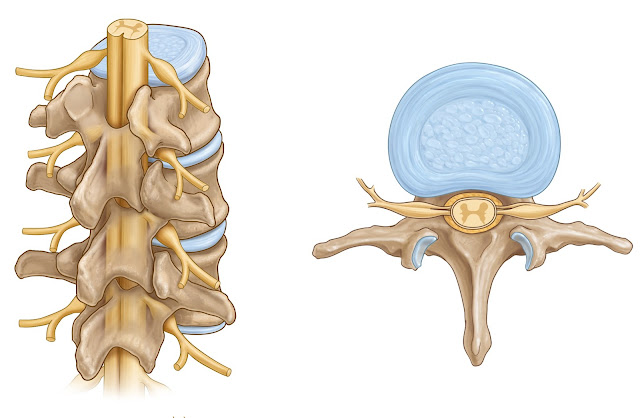 Lumbar Spinal Stenosis Treatment - Spine Blogs